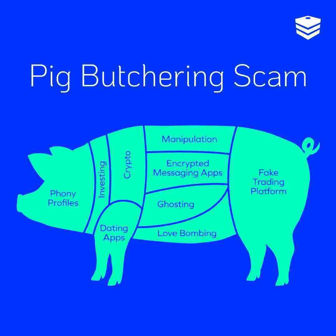 'Pig butchering' scam: Maryland woman loses $3M in cryptocurrency. FBI ...