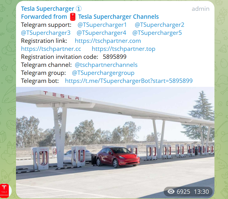 Tesla Supercharger Partner: tre domini-clone, un Ponzi mascherato da ...
